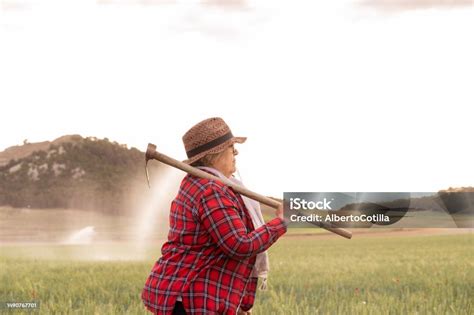 밀짚모자를 쓰고 괭이를 어깨에 메고 밭에서 일하는 백인 할머니 밭에서 일하는 노인들의 배경 70 79세에 대한 스톡 사진 및 기타 이미지 Istock