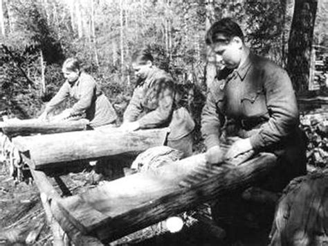 Прачечные отряды и банно прачечные поезда 1941 года Mobibos Mobibos1 Опубликовано 22 ноя