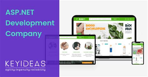Top Custom ASP NET Development Company From India