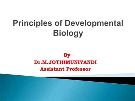 Developmental Specification And Differentiation Pdf Biological