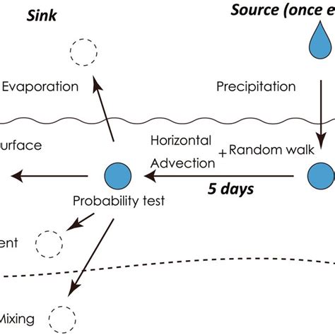 A Schematic Of The Lagrangian Particle Tracking Model For Tracking Download Scientific Diagram