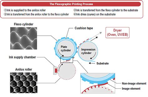 Flexo Printing Ink Calculator At Caitlin Grimmett Blog