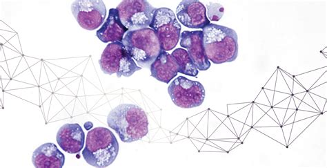 Modeling Stem Cell Fate Dynamics Research Communities By Springer Nature