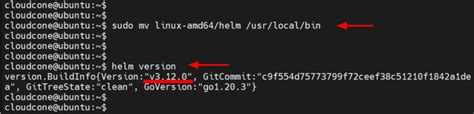 How To Install HELM On Ubuntu 22 04 Tutorials And How To CloudCone