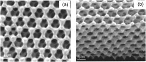 Sem Imagies Of 3d Phc Structures Produced With 509° Prism A The Top
