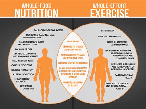 The Basic Rules Of Nutrition Die And Exercise Veledora