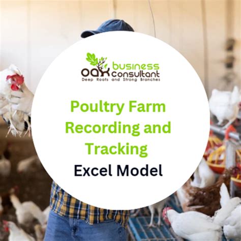 Poultry Farm Recording And Tracking Model Oak Business Consultant