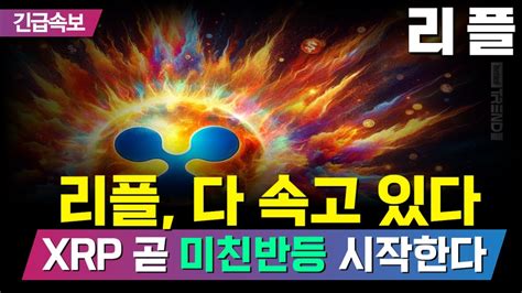 리플xrp 리플 가격 안오르는 이유 다 속고 있다 Xrp 곧 미친 반등 시작합니다 Youtube