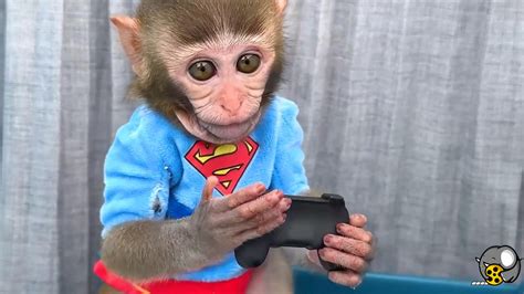 ویدئو کارتونی ماجراهای بچه میمون بازیگوش ماشین بازی میمون بامزه فیلو