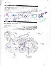 Ps Practice Key Pdf Chnpter 7 F C L 110 AIP Odn 1 I Hffi R 11 R Rll U Web CD Activity