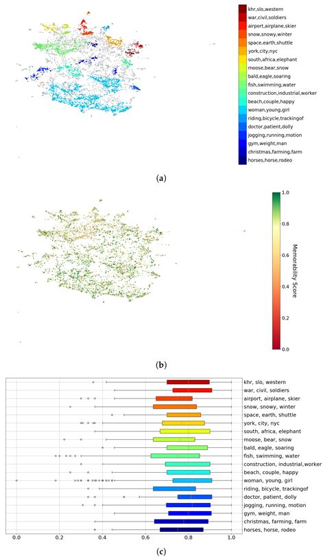 Topic Oriented Text Features Can Match Visual Deep Models Of Video Memorability