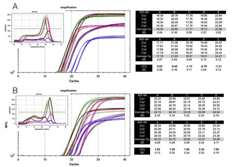 Qpcr Primer Design Revisited نوآوران طب