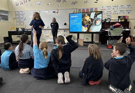 Karingal Heights Primary School Frankston Vic