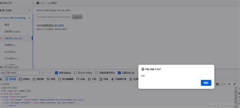 Pikachu靶场通关笔记 Cross Site Scripting （xss）pikachu靶场xss后台 Csdn博客