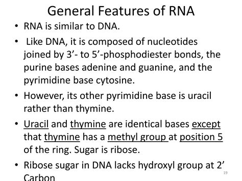 Lecture Nucleic Acids Ppt