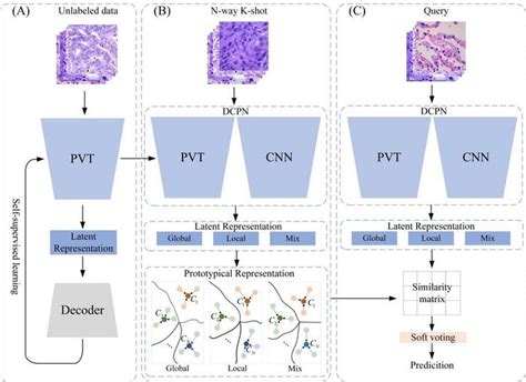 Process Of The Dual Channel Pr IMAGE EurekAlert Science News Releases