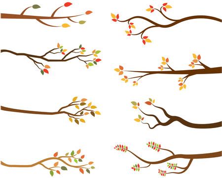 Tree Branch Cartoon Images Browse Stock Photos Vectors And Video Adobe Stock