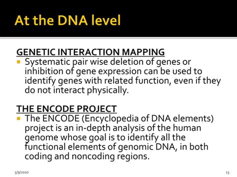 Functional Genomics And Tools Pptx Biotech And Biomedical Industry Industries