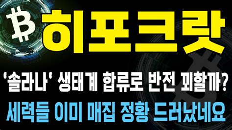 히포크랏 코인 솔라나 생태계 합류로 반전 꾀할까 세력들 이미 매집 정황 드러났네요 Youtube