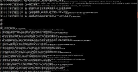 Working With Wso2 Carbon Admin Services
