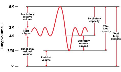 Is Fvc Normal In Copd At Kelli Johnson Blog