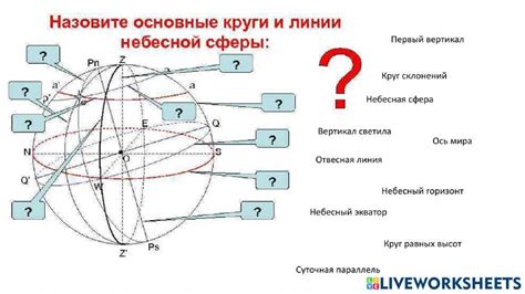 Небесная сфера Особые точки линии и круги небесной сферы Online Exercise For Live Worksheets