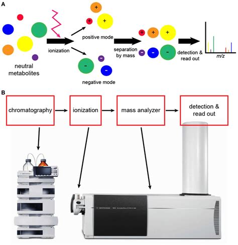 Analytical Workflow Of Liquid Chromatography Lc Mass Spectroscopy Download Scientific Diagram