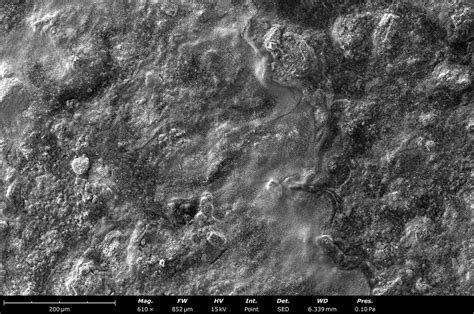Unlocking New Dimensions 3d Surface Visualization With Scanning