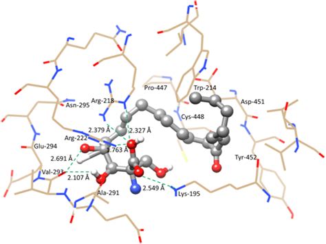 The Binding Mode Between Isp 1 And Hsa The Secondary Structure Of The Download Scientific