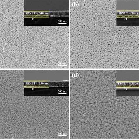 Surface Morphology And The Inserted Cross Sectional Microstructure Of Download Scientific