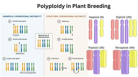 Plant Breeding Archives Biology Notes Online