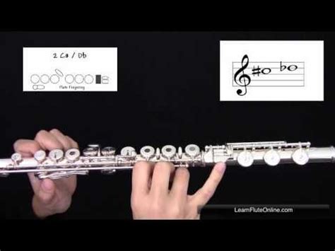 How To Play The Note C Sharp D Flat C Db On Flute Learn Flute Online Flute Notes Learning