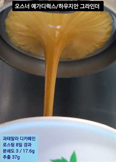 가정용 커피머신 And 바텀리스 포터필터 4회차 추출 Youtube