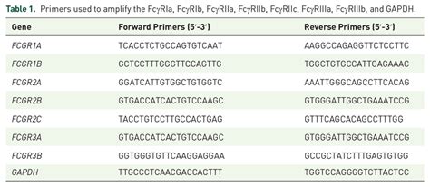 Primers Used To Amplify The Fcγria Fcγrib Fcγriia Fcγriib Fcγriic Download Scientific