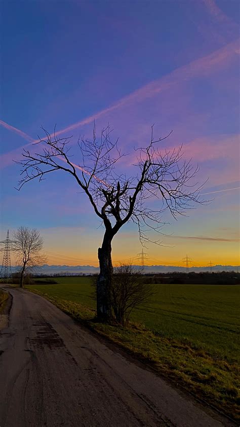 Tree Distance Landscape Free Photo On Pixabay Pixabay