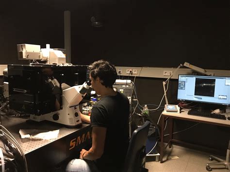 Looking At Drosophila Development With Laser Microdissection And 2 Photon Microscopy Euro Bioimaging