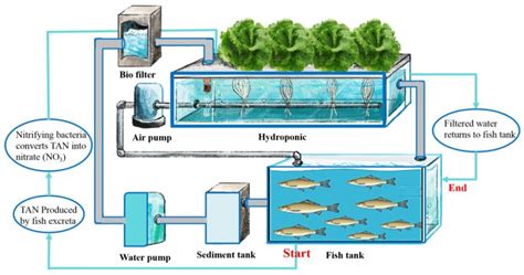 Chemosensors Mdpi On Linkedin 📣highly Cited Papers Review Recommendation Recent Advances Of