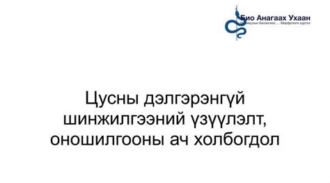 Zz Health Room Цусны шинжилгээний хариу унших