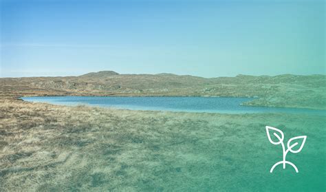 Peatland Restoration Tilhill Forestry