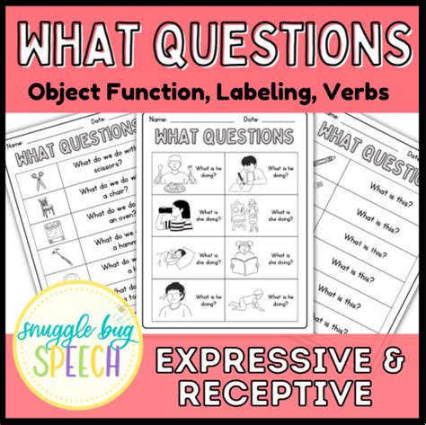 What Questions Expressive And Receptive Labeling Nouns Object Function Verbs Snuggle Bug