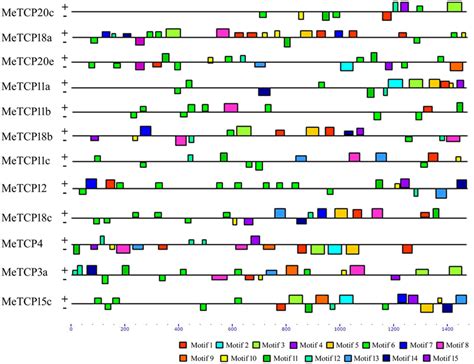 the conserved dna sequence motifs analysis of cold and download