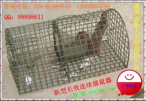 捕鼠笼原理 王琳捕鼠笼 踏板式捕鼠笼 第6页 大山谷图库