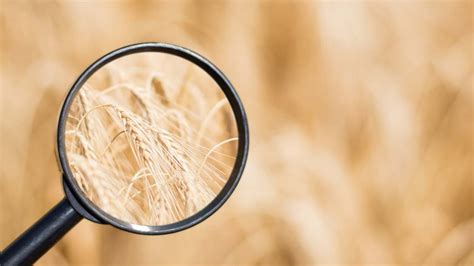 How Advanced Testing And Analysis Is Helping To Curb The Threats Of