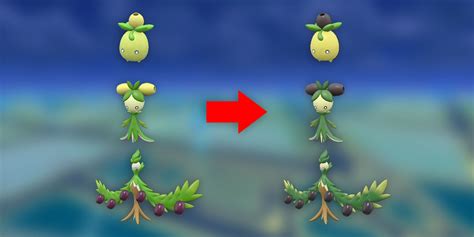 Pokemon Go The Differences Between Regular Smoliv And Shiny Smoliv Explained