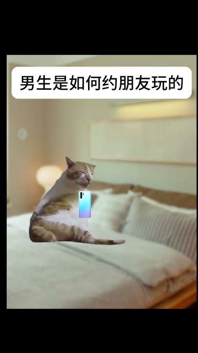 男生是如何约朋友玩的 猫meme 喵不可言 搞笑 猫meme小剧场 Funny 喵 Cat 男生 Shorts Youtube