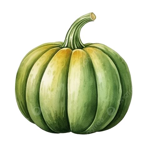 水彩綠色南瓜手繪插畫秋收元素萬聖節設計 農場新鮮 农场食品 蔬菜農場PNG去背圖片素材免費下載免摳圖設計圖案下載 Pngtree