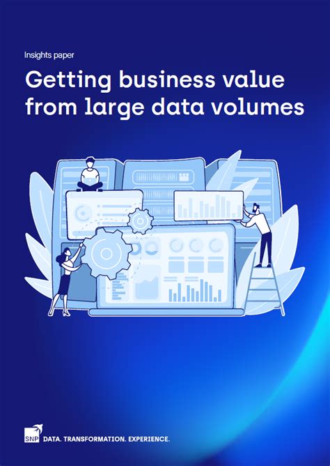 Snp Group Getting Business Value From Large Data Volumes