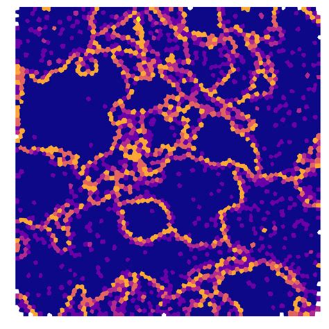 Neuroscience Spatiotemporal Patterns In Neural Networks Biology