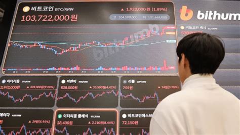 비트코인 美 대선 영향 상승올해 10만 달러 돌파