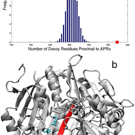 Capturing Single Protein Refolding Reactions Using Smfs A Cartoon Download Scientific Diagram